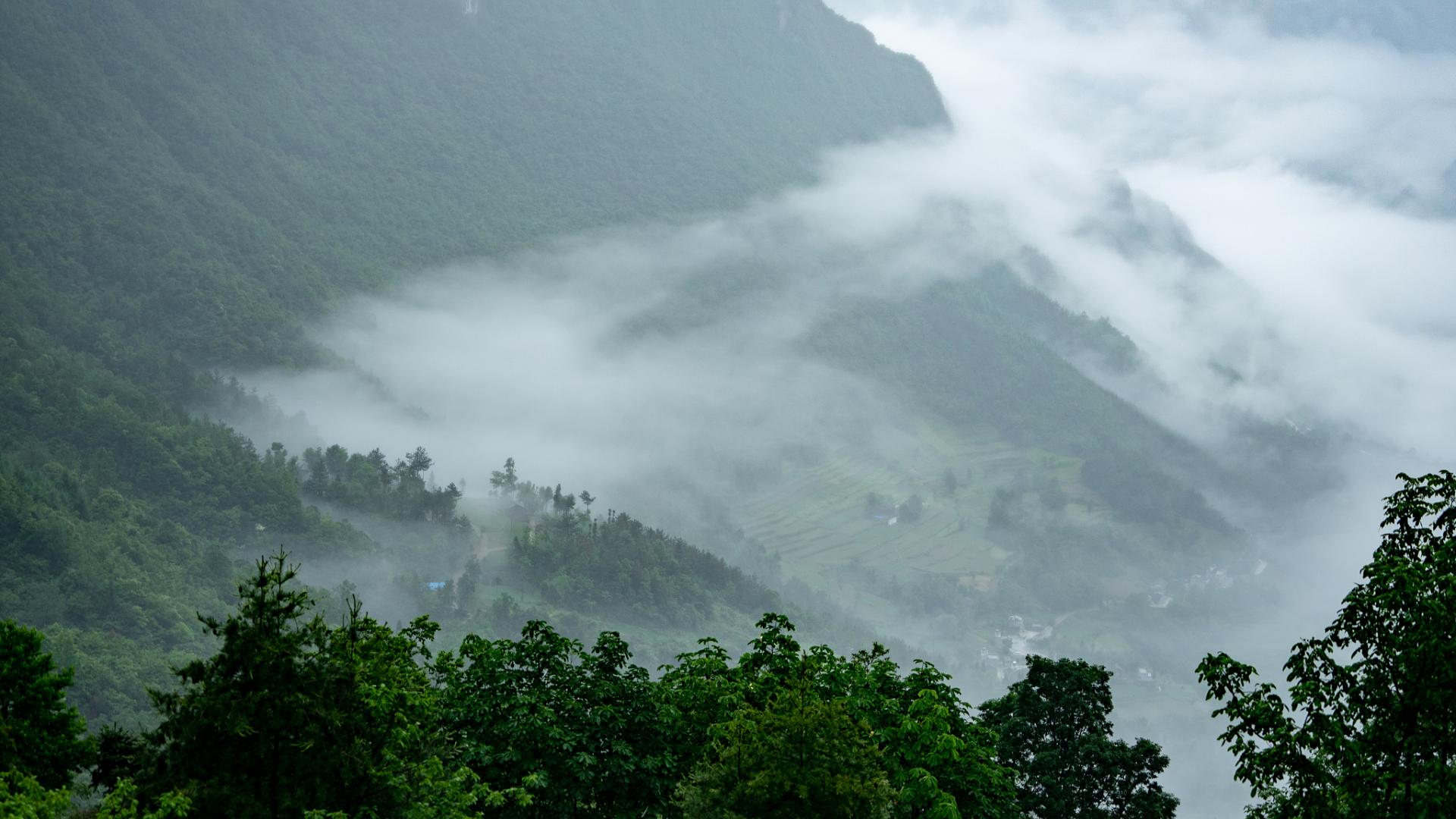 8D7N Discover Hubei (Wuhan/Shennongjia/Enshi) » Sedunia Travel