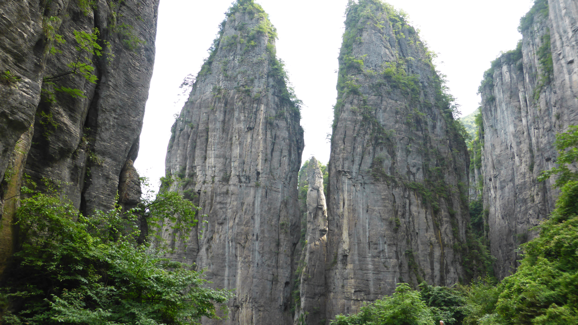 8D7N Discover Hubei (Wuhan/Shennongjia/Enshi) » Sedunia Travel